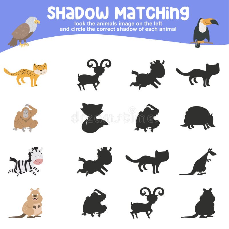 Look the Image on the Left and Circle the Correct Shadow of Each Image ...