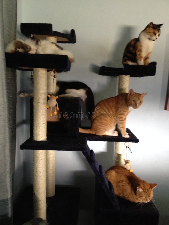 What Amazon Aws Stock Photos - Free & Royalty-Free Stock Photos from ...