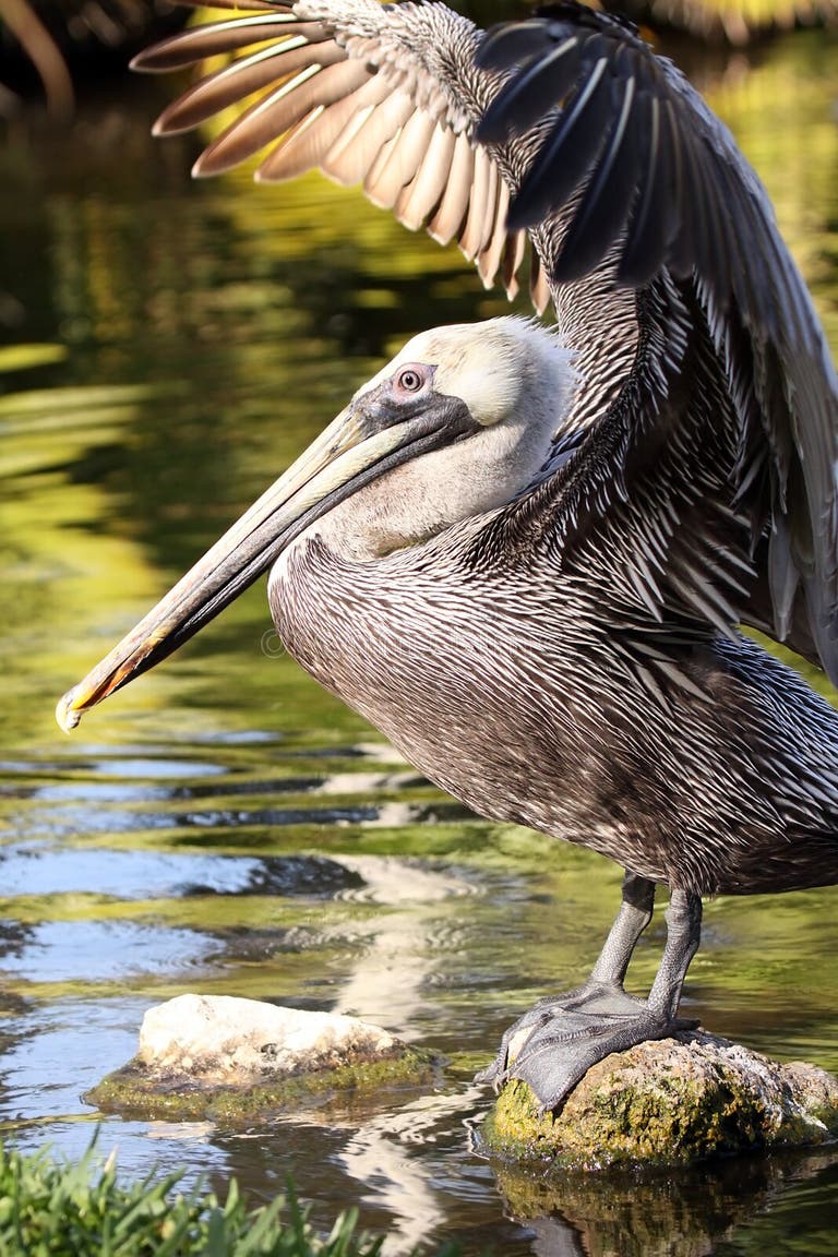 What Do I Zamzam Water Stock Photos - Free & Royalty-Free Stock Photos ...
