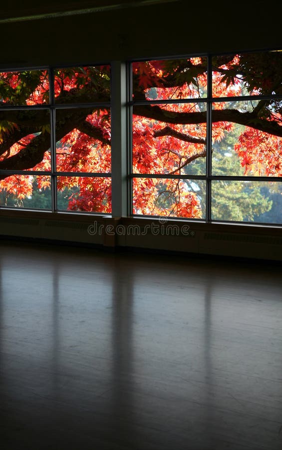 Look through a window stock image. Image of design, interior - 1175751