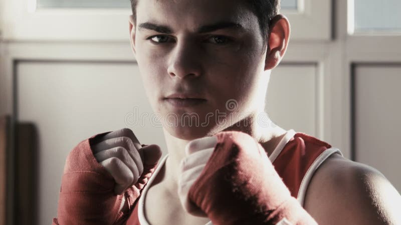 Look of the young Boxer stock footage. Video of body - 64148068