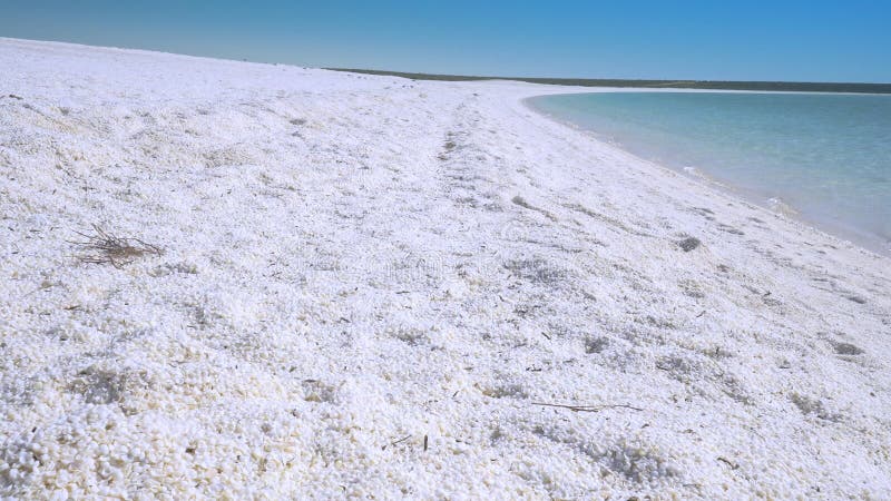 Looking Along Shell Beach at Shark Bay in Western Australia Stock Image ...