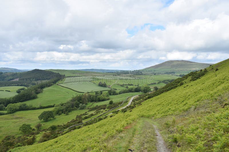 Path on Hillside with Fields Below Stock Image - Image of agriculture ...