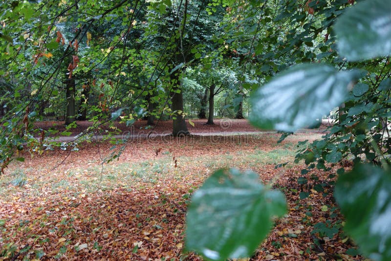 Looking Far Beyond Whit Peace Stock Image - Image of band, facade ...