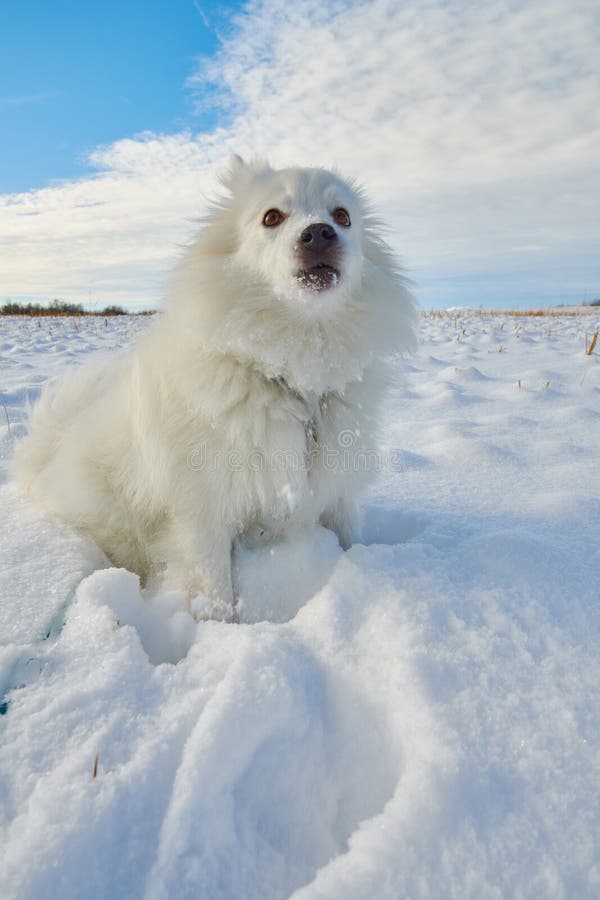 Looking a Bit Bewildered is it always this Cold in Canada American ...