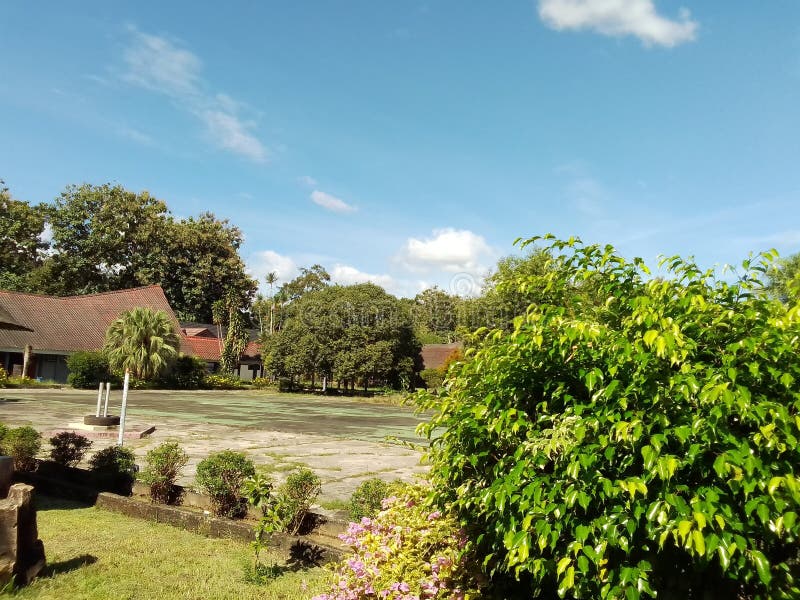 Looking at the Blue Sky Amidst the Hot Sun of a Tropical Country Stock ...