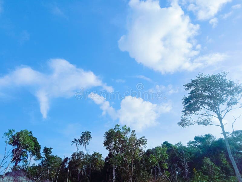 Looking at the Clear Sky Relieves Stress Stock Image - Image of looking ...