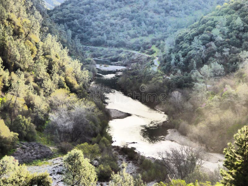 Looking at the details stock photo. Image of looking - 54910266