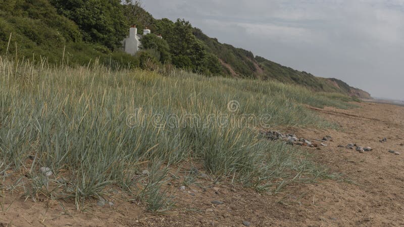 Looking Down the Beach at a White House in the Trees Stock Photo ...