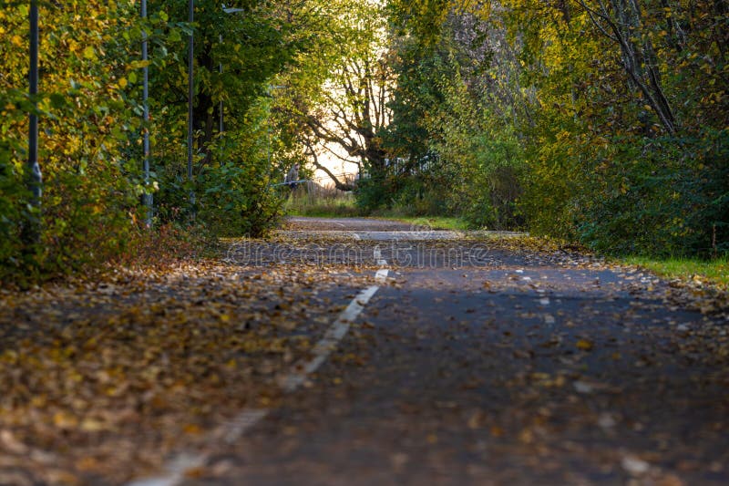 Looking Down a Bicycle Road at Fall.. Stock Photo - Image of sport ...