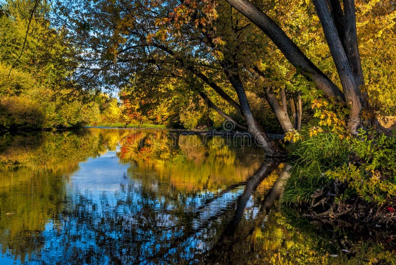 Looking Down the Boise River in the Fall Stock Image - Image of yellow ...