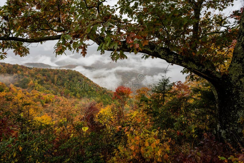 Looking Down on Cloud Inversion through Fall Colors Stock Photo - Image ...