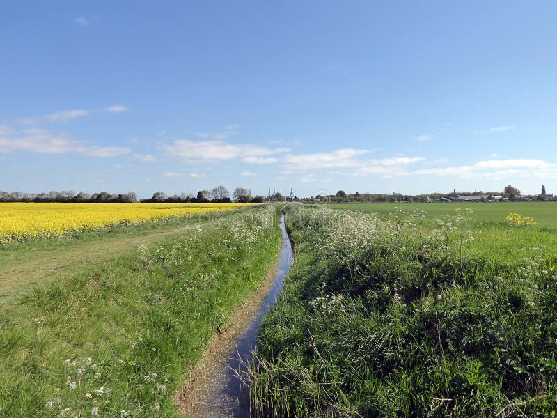 Looking Down Ditch between Fields Stock Image - Image of leaf, amlyd ...