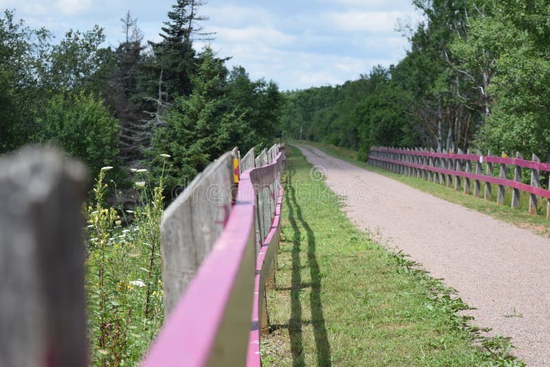 Looking down fence stock photo. Image of fence, greenn - 75585686