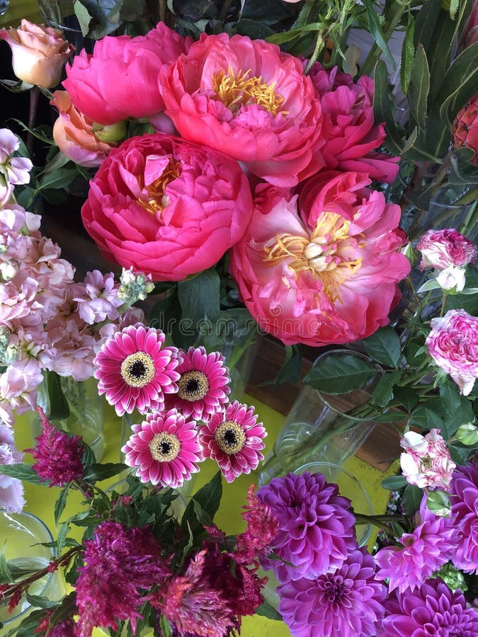 Looking Down on Lots of Various Fresh Flowers Stock Photo - Image of ...