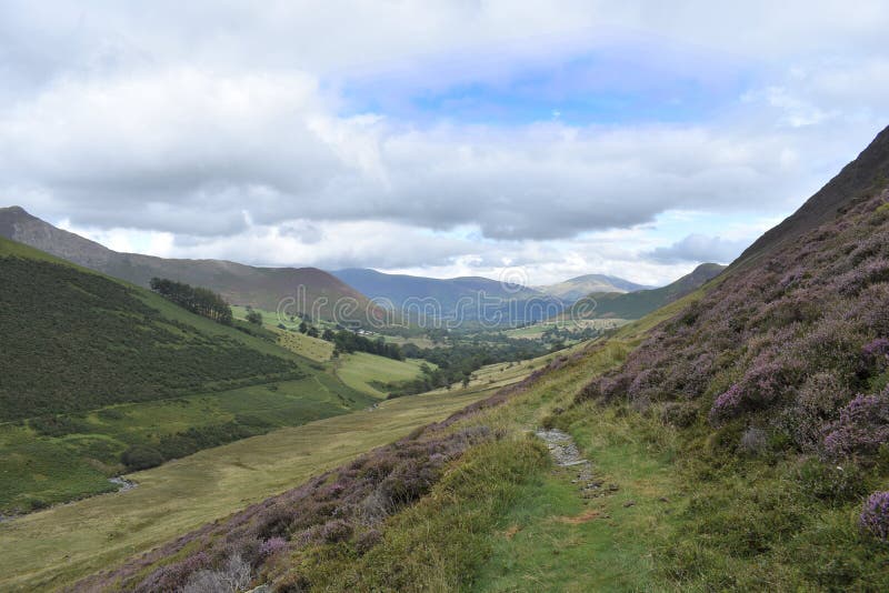 On Path by Hindscarth Ridge Stock Photo - Image of heather, clear ...