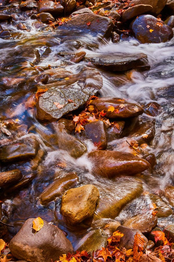 Looking Down Over Shallow Creek of Smooth Rocks with Small Rivers in ...