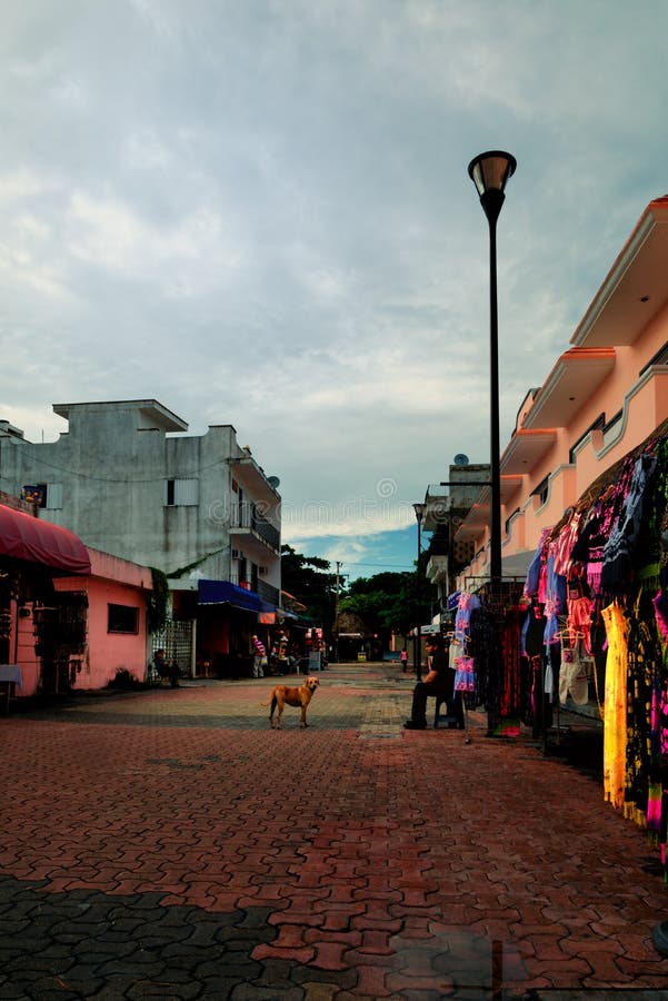 Looking Down the Path editorial photography. Image of calm - 91418307