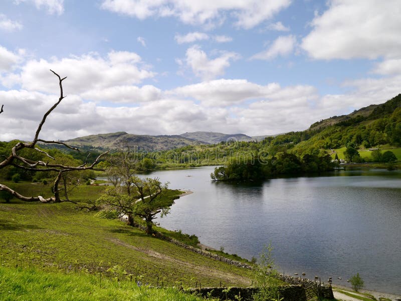 Looking Down Path by Rydal Water, Lake District Stock Photo - Image of ...