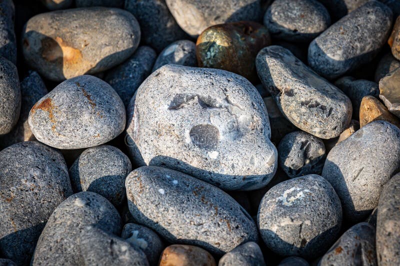 Looking Down at Pebbles on a Beach with One Mimicking a Face Stock ...