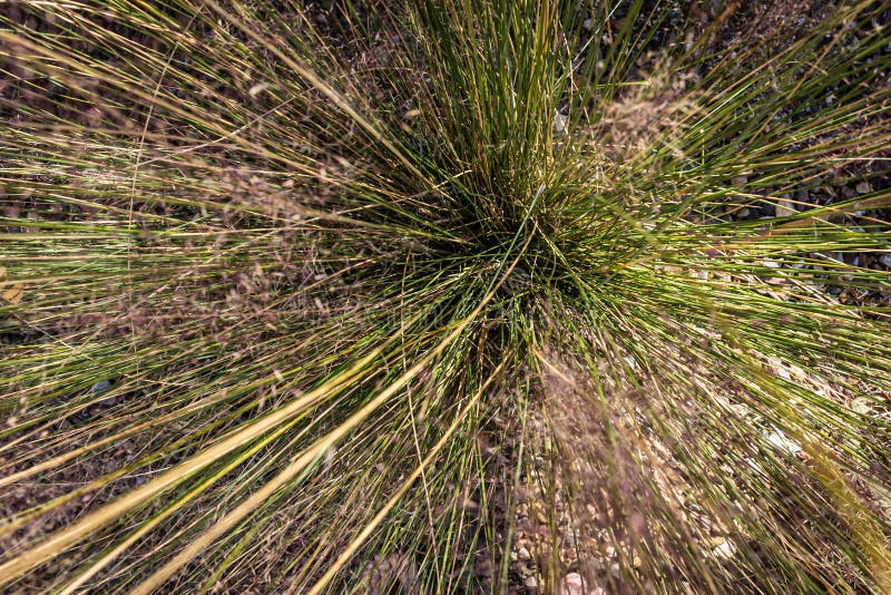 Looking Down at the Radial Effect Produced by a Top-down Photo of Long ...