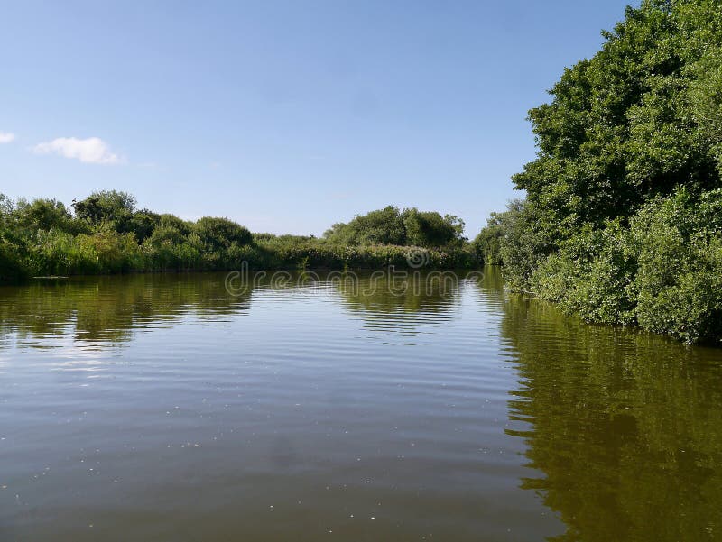 Looking Down River with Tree Lined Banks Stock Image - Image of ...
