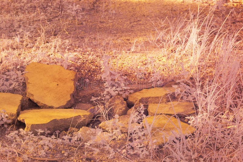 Looking Down on the Rocky Surface Pathway Stock Photo - Image of ground ...