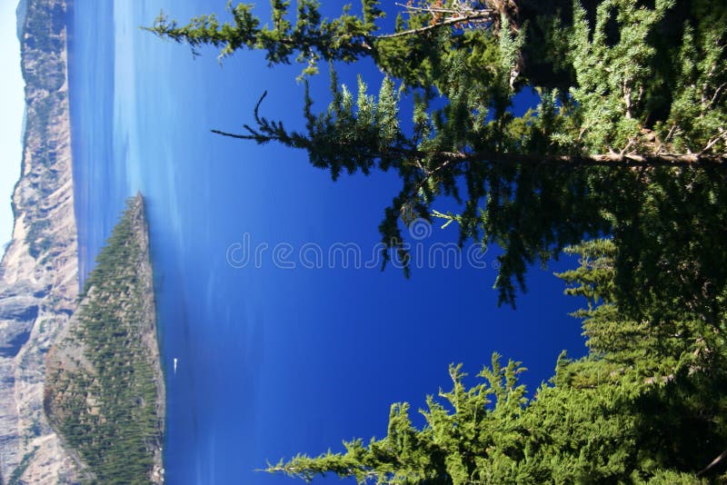 Looking Down To the Lake Water in Deep Blue through the Pine Trees ...