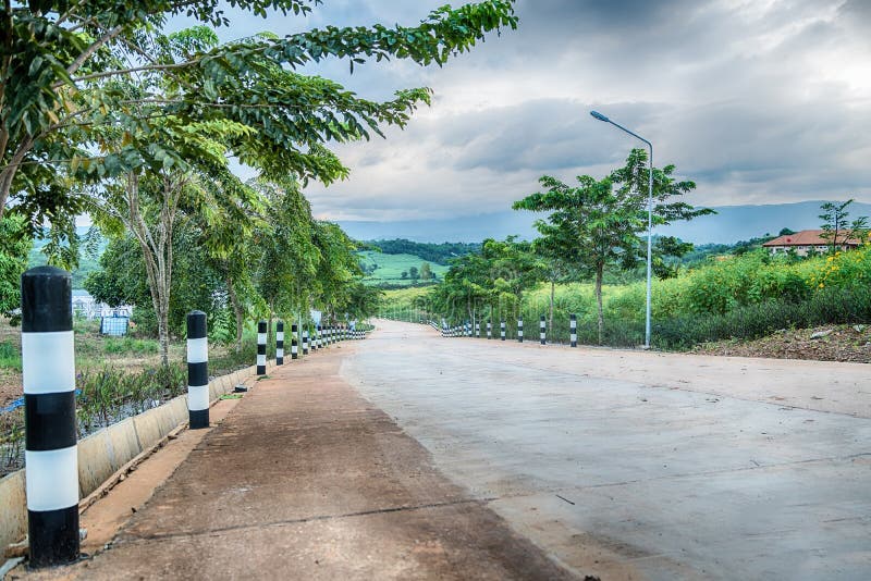 Looking Down a Tree Lined Road into the Distance Stock Photo - Image of ...