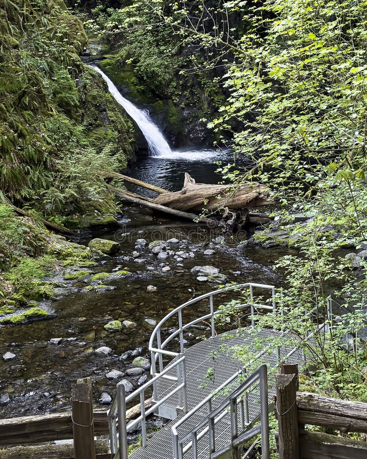 Looking Down at a Viewing Platform at Goldstream Water Falls ...