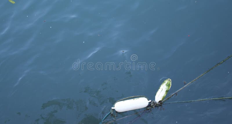 Surface Textures of Moving Water, with Two Floats for Other Bou Stock ...