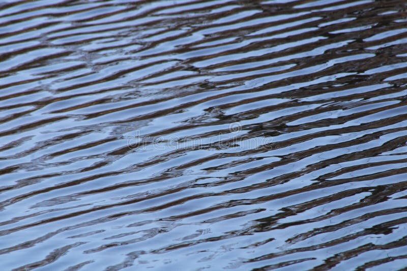 Looking Down at the Waters Surface with Water Ripples and Reflections ...