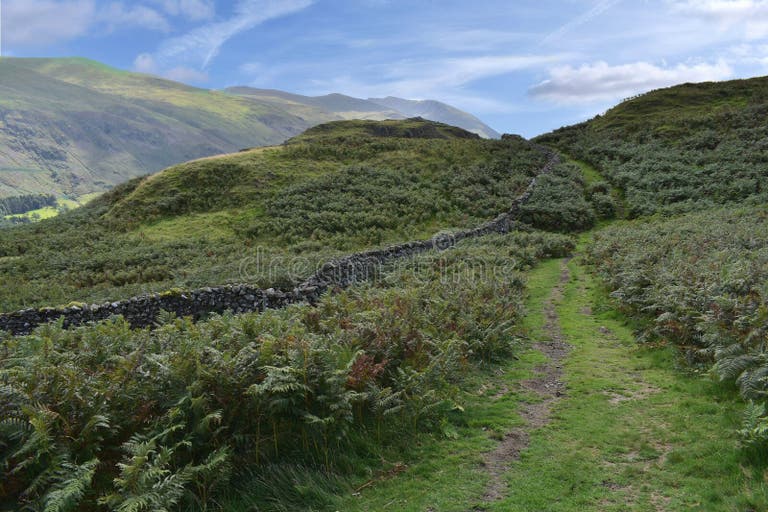 Path through bracken stock photo. Image of exploration - 322087730