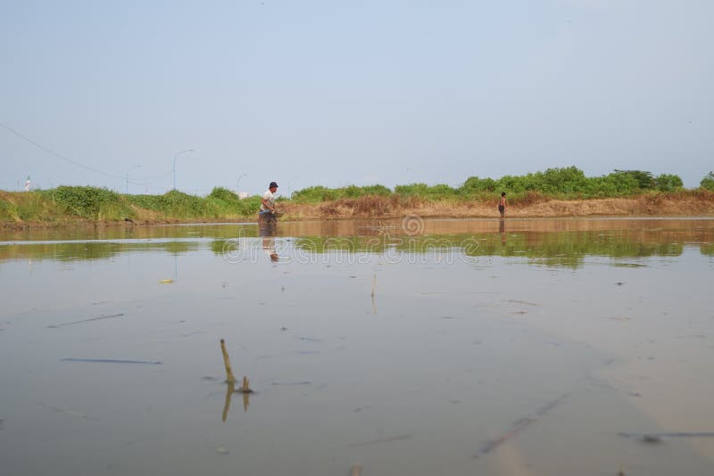 Looking for fish stock photo. Image of food, farm, farmland - 213441612
