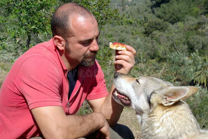 Looking for food stock photo. Image of food, adorable - 13311026