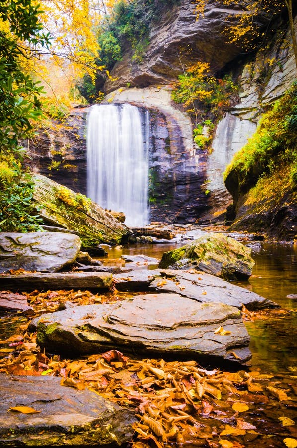 Looking Glass Falls stock image. Image of reflection - 84554419