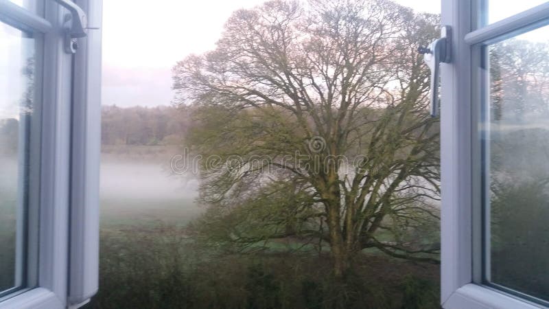 Through the looking glass stock image. Image of looking - 165838635