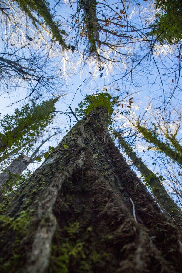 Looking to infinity stock photo. Image of spain, blue - 140673632
