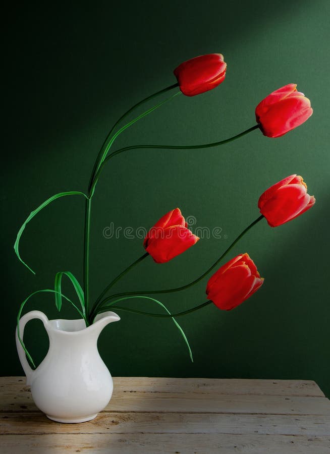 Looking for light stock image. Image of tropism, flowers - 50169079
