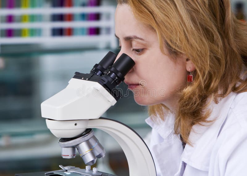 Looking through a Microscope Stock Photo - Image of fellow, molecular ...