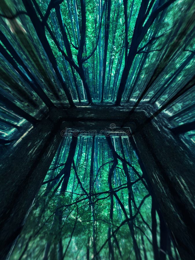 Looking at a Mirrored View at an Enchanted Woodland Glade Stock ...