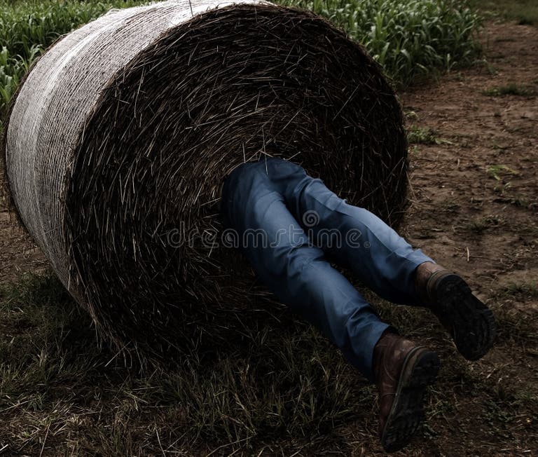 Looking for a needle stock photo. Image of lost, autumn - 282356