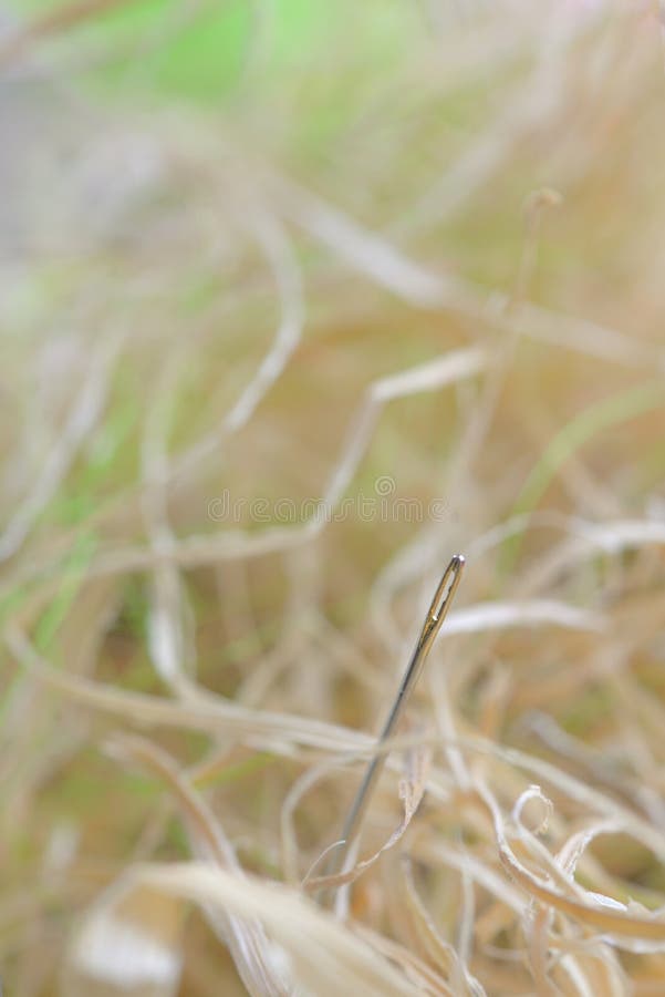 Looking for a Needle in a Haystack Stock Photo - Image of hard, sayings ...