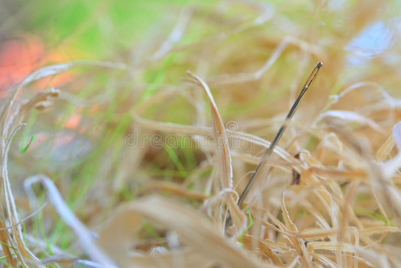 Looking for a Needle in a Haystack Stock Photo - Image of impossible ...