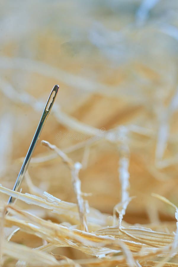 Looking for a Needle in a Haystack Stock Image - Image of chance, faith ...