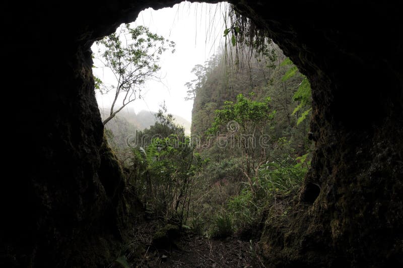 Looking Out from a Sea Cave Stock Image - Image of cavern, beautiful ...