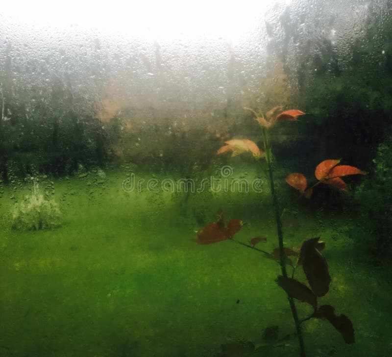 Looking Out the Window after a Rainstorm Stock Image - Image of ...