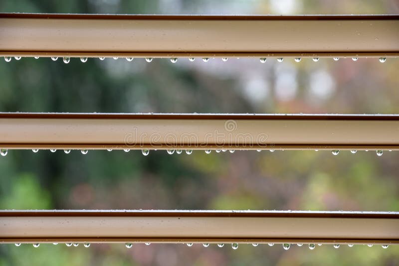 Looking Outside through Open Blinds with Raindrops Stock Image - Image ...