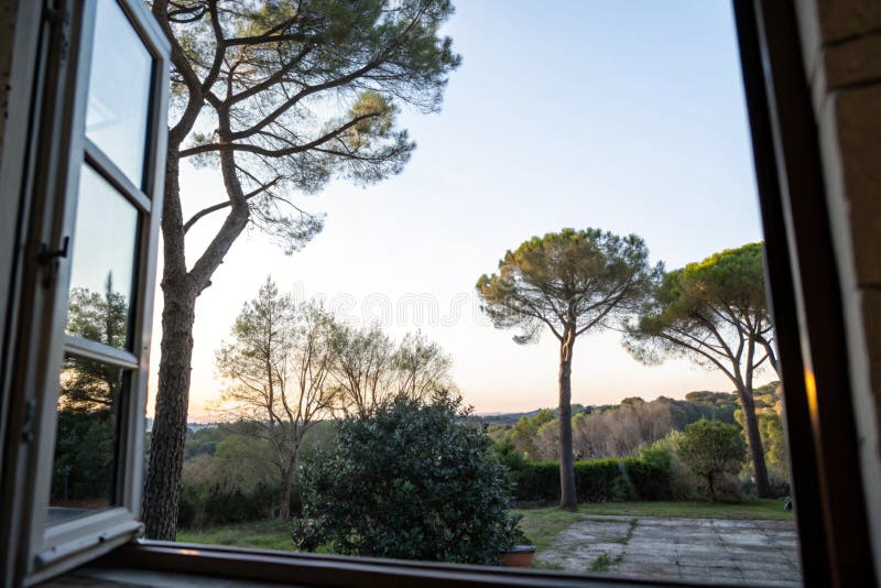 Looking Outside through a Window Stock Illustration - Illustration of ...