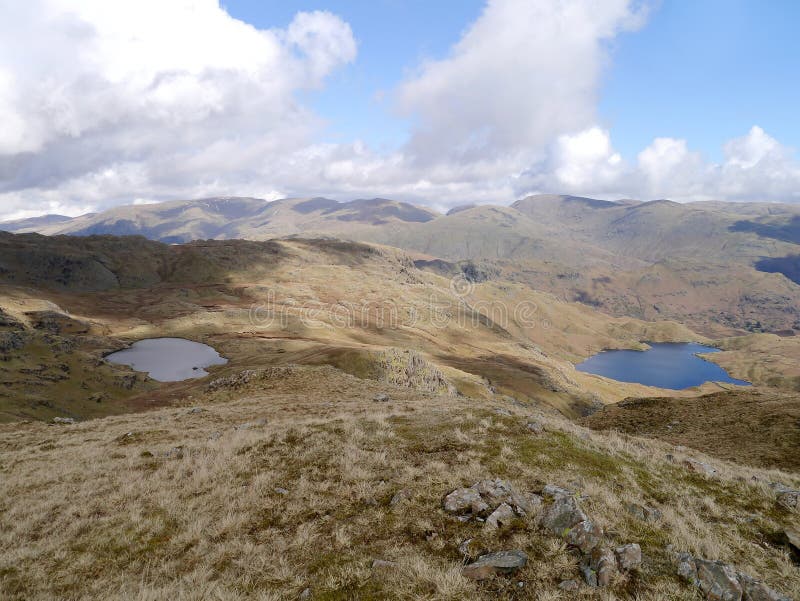 Codale Tarn Stock Photos - Free & Royalty-Free Stock Photos from Dreamstime